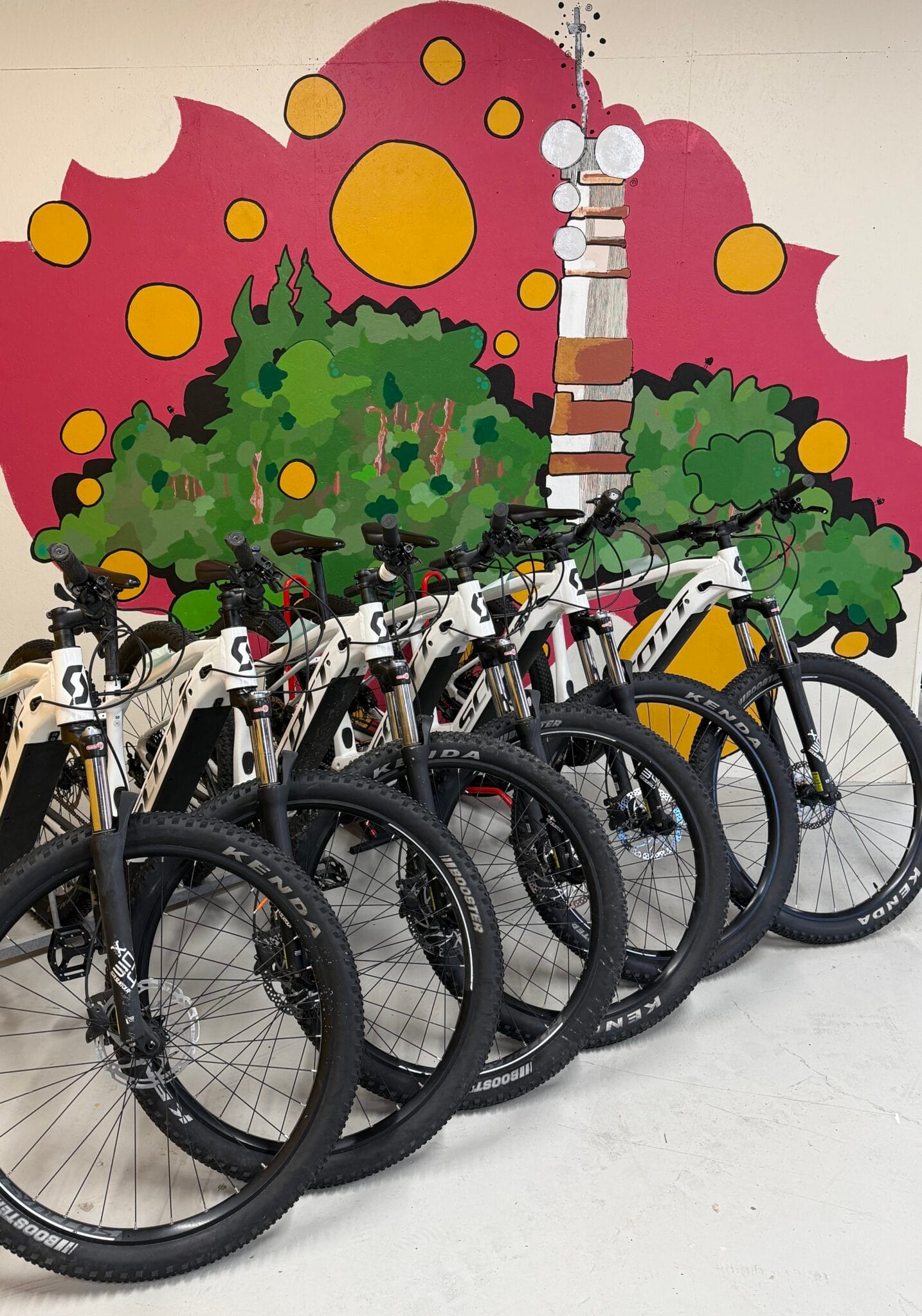 Utleie av sykler - Happy Bike Sykkel & Verksted